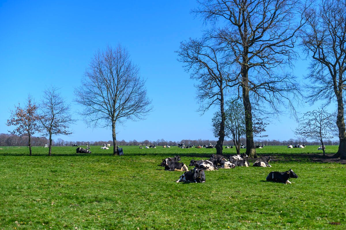 Plattelandscafé in Sleen voor goede ideeën | Nieuws | SleenWeb